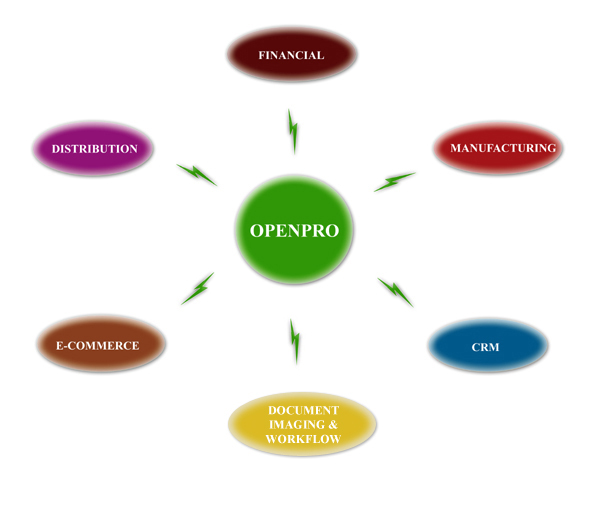 OpenPro ERP Services